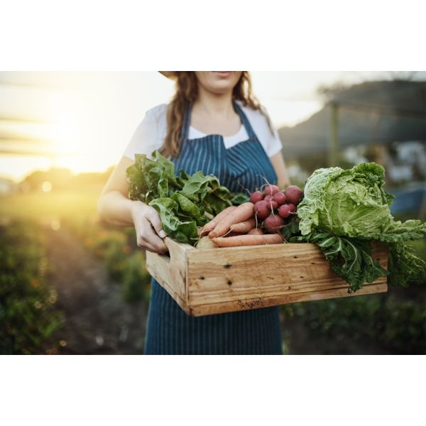 Voices of Food Equity • Partnership For A Healthier America
