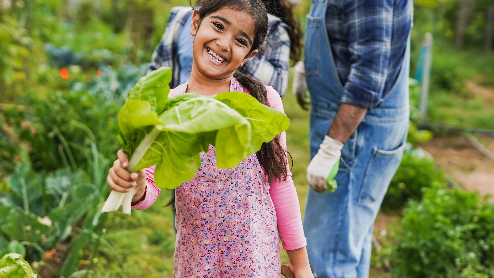 Food Equity Opportunity Map • Partnership For A Healthier America