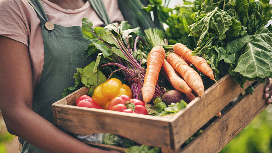 Food Equity Opportunity Map • Partnership For A Healthier America